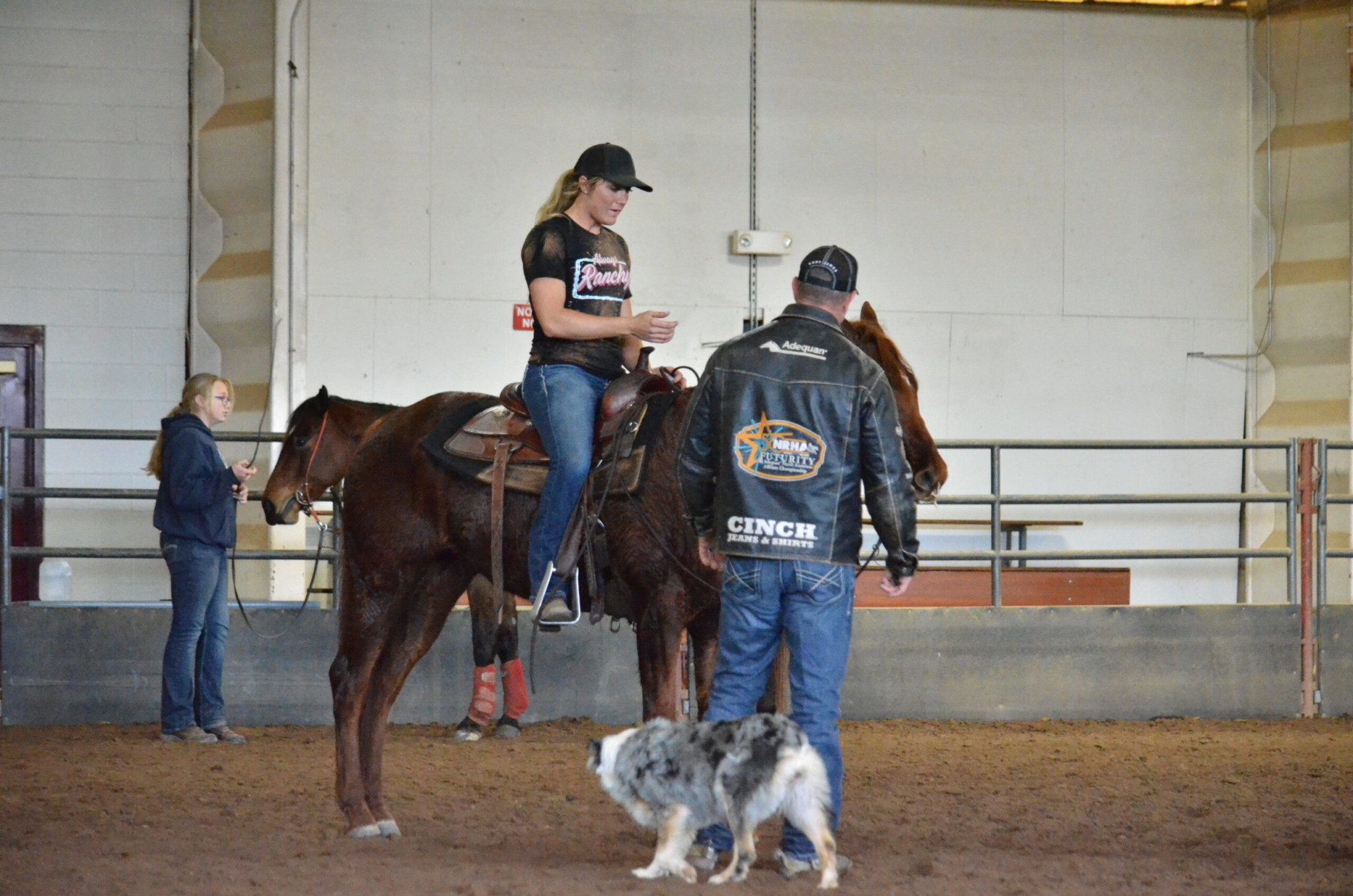 Accreditation Program - Horse Training School