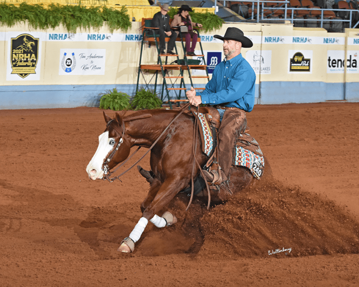 Accreditation Program - Horse Training School
