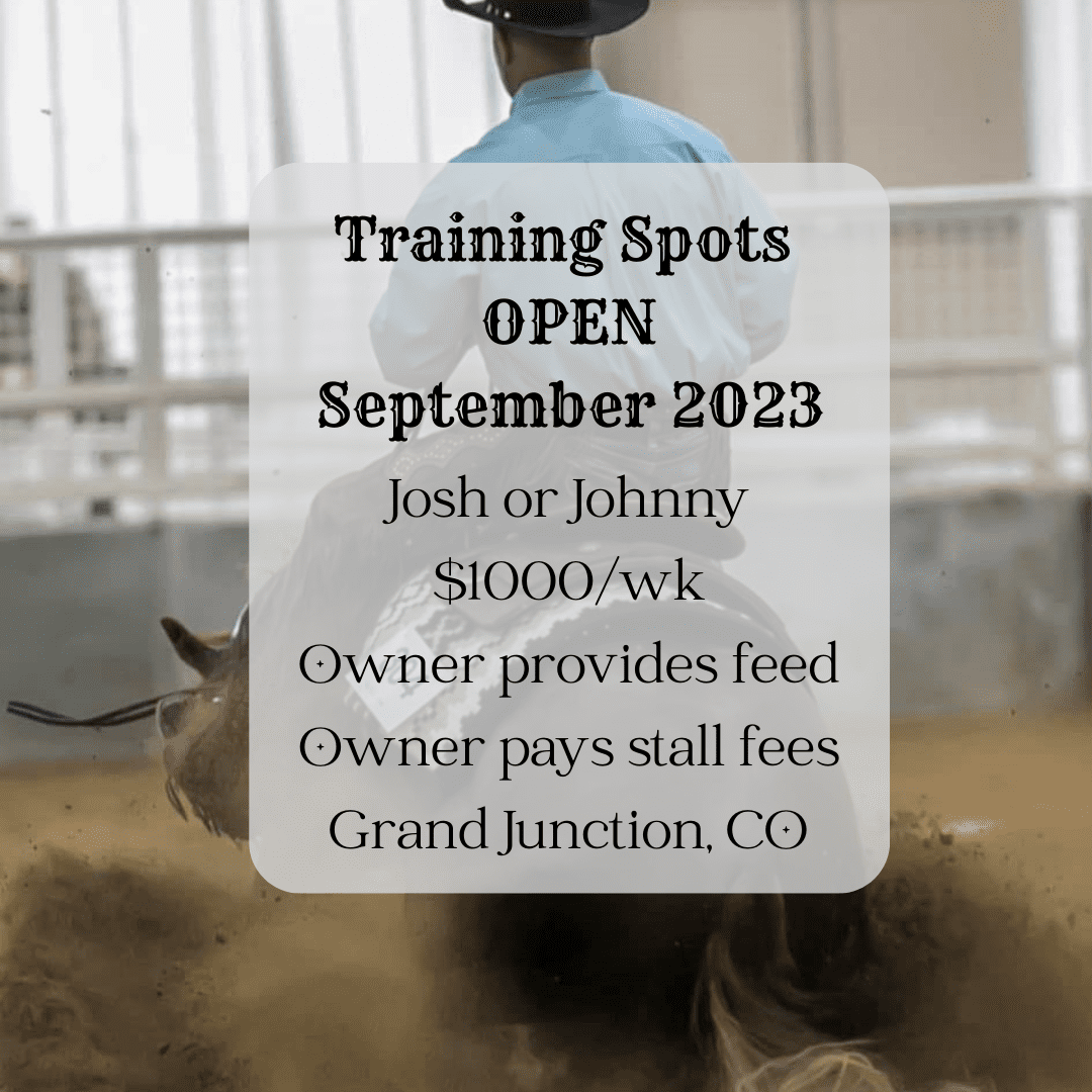 Lyons Legacy Latest - August 2023 Newsletter - Lyons Legacy