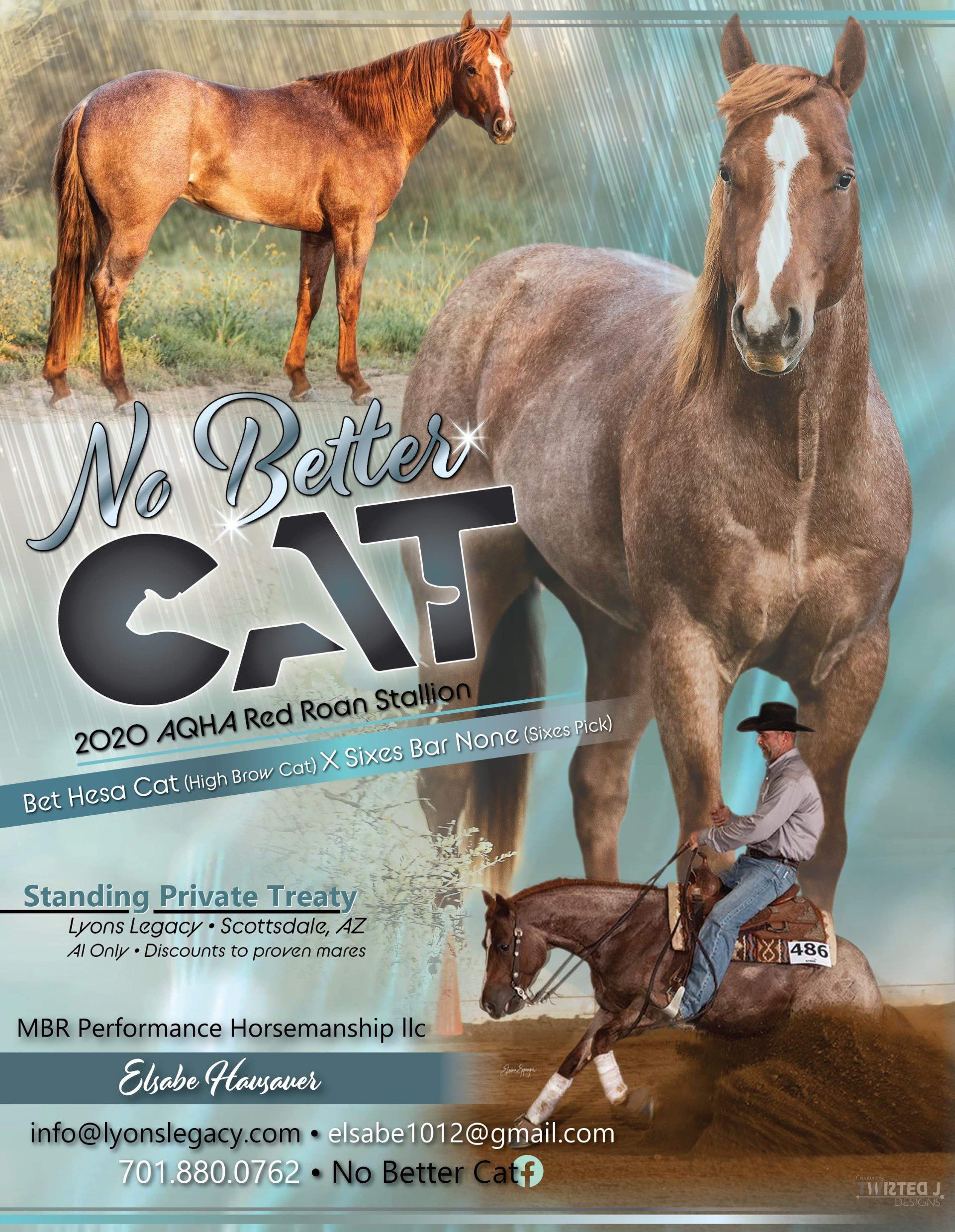 No Better Cat - AKA Boon - Lyons Legacy