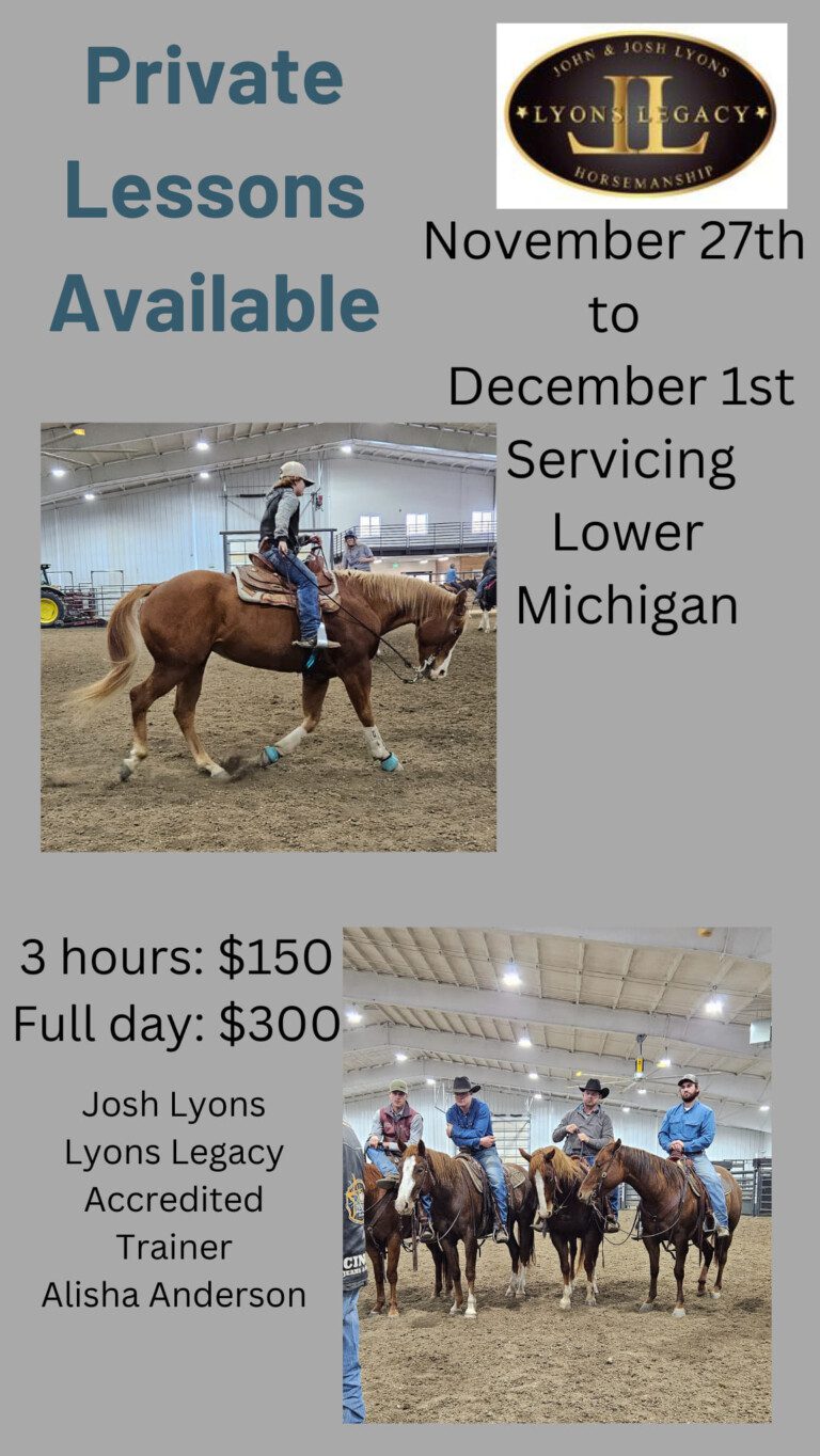 Horse Trainer Highlight - Lyons Legacy