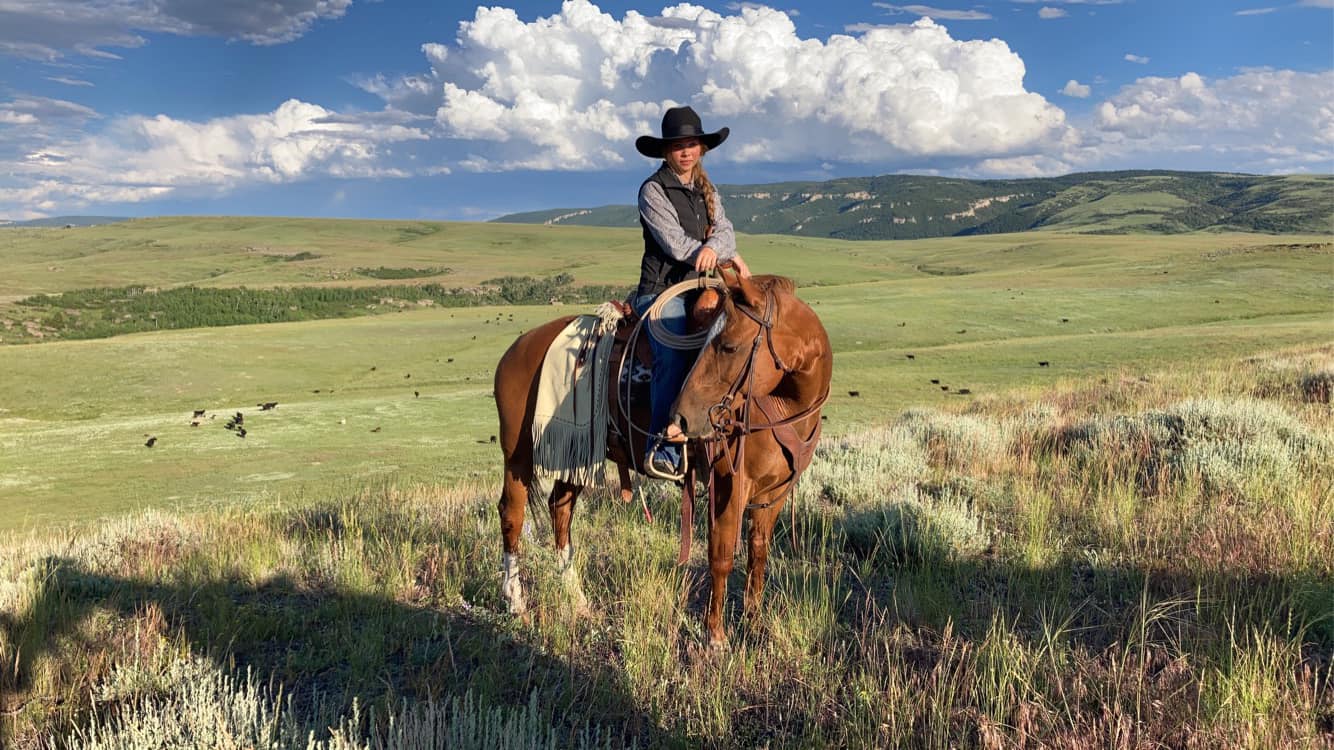 Horse Trainer Highlight - Lyons Legacy